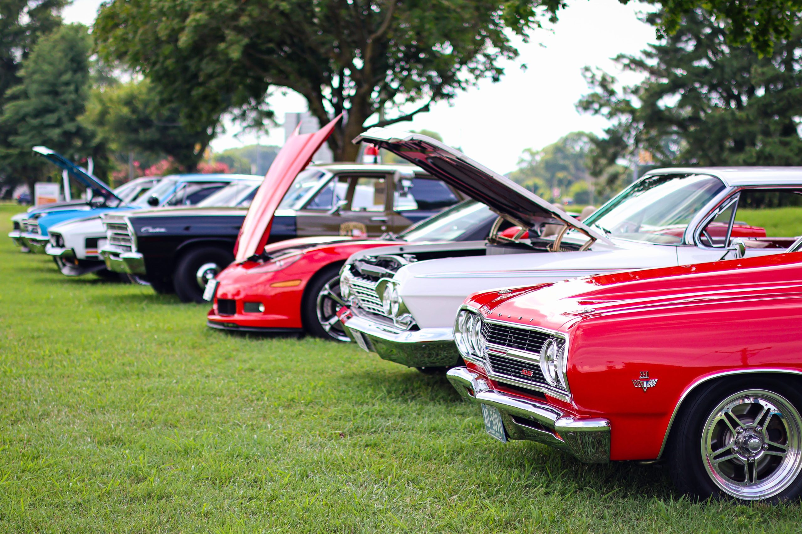 Group – Kinley's Classics